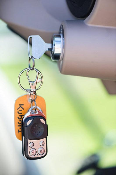 V.3 Fusion Color Change RGB Key FOB Controller – Autotrendsms